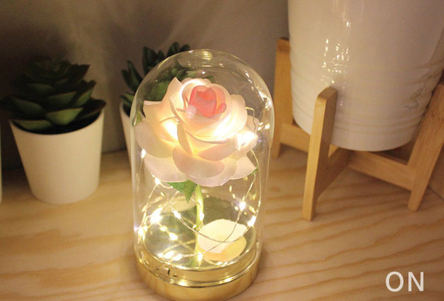 twinkle-rose-dome-LED-pink2